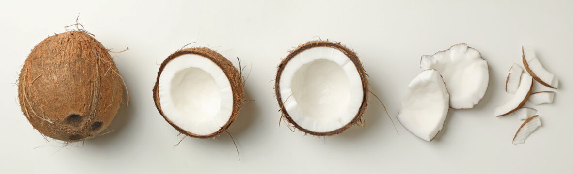 「Coco」の写真素材 | 246,305件の無料イラスト画像 | Adobe Stock