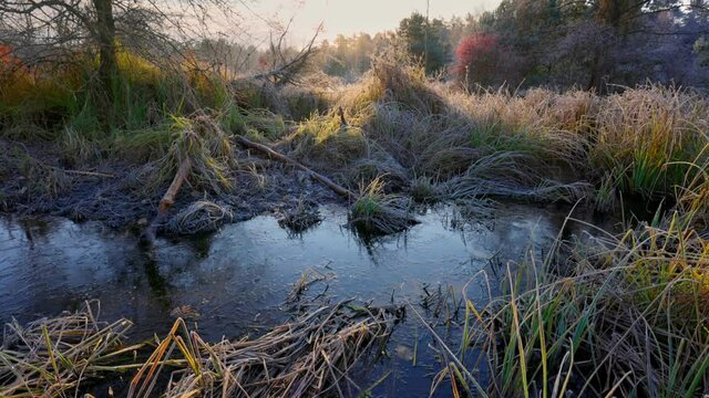 Inium Images – Browse 48 Stock Photos, Vectors, and Video | Adobe Stock