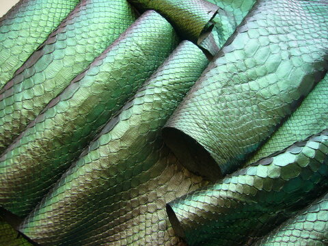 รูปภาพSnake-Skin – เลือกดูภาพถ่ายสต็อก เวกเตอร์ และวิดีโอ34,446 | Adobe ...