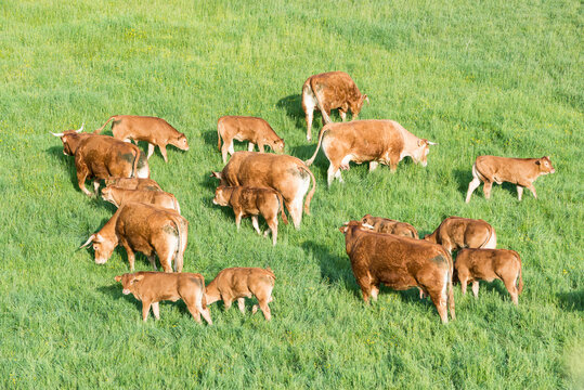 "Milieu Rural" 이미지 – 찾아보기 198 스톡 사진, 벡터 및 비디오 | Adobe Stock