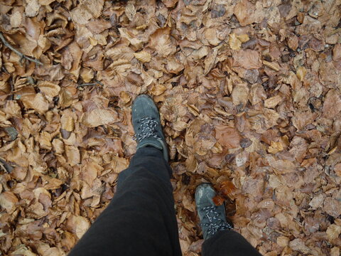 Piechur bilder – Bläddra bland 978 stockfoton, vektorer och videor ...