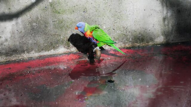 Trinking Imagens – Procure 112 fotos, vetores e vídeos | Adobe Stock