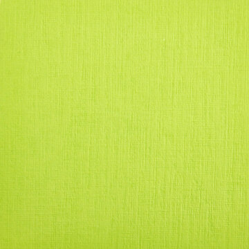 "Light Green Color" Images – Browse 275 Stock Photos, Vectors, and ...