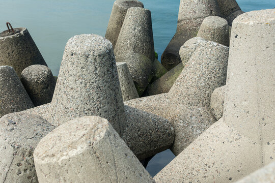 Tetrapods Images – Browse 14,293 Stock Photos, Vectors, and Video ...
