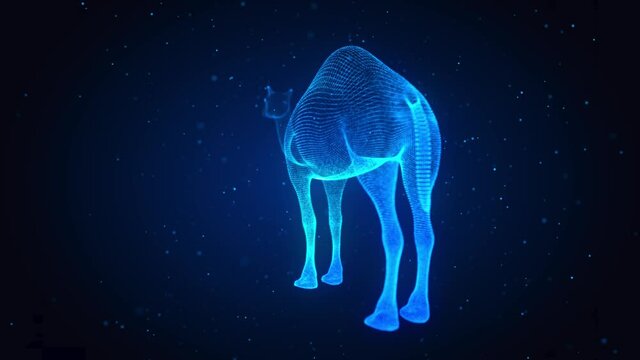 Hollogram Images – Parcourir 35 le catalogue de photos, vecteurs et ...