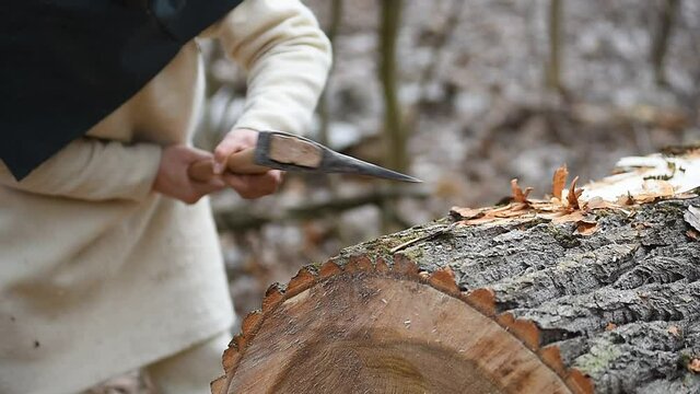 รูปภาพDebarking – เลือกดูภาพถ่ายสต็อก เวกเตอร์ และวิดีโอ6,403 | Adobe Stock