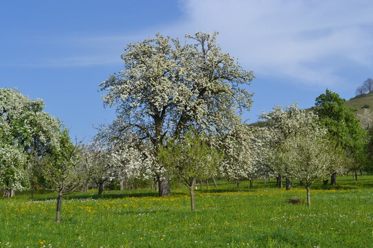 Wanderungen Images – Browse 2,153 Stock Photos, Vectors, and Video ...