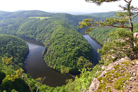 Maj Bilder – Durchsuchen 3,976 Archivfotos, Vektorgrafiken und Videos ...