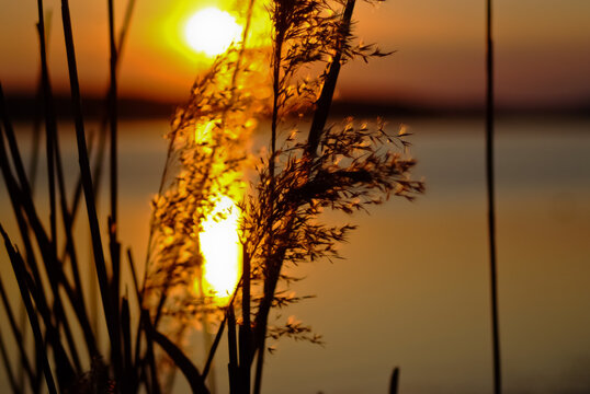 รูปภาพ"Evening Landscape" – เลือกดูภาพถ่ายสต็อก เวกเตอร์ และวิดีโอ732 ...