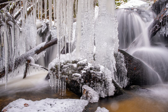 Ysperklamm-Bilder: Stock-Fotos & -Videos. | Adobe Stock