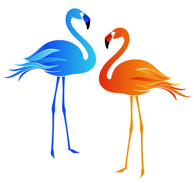 Orange Flamingos