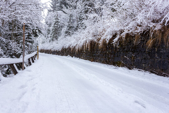 Winterstorm Bilder – Durchsuchen 297 Archivfotos, Vektorgrafiken und ...