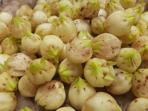 Vippa Images – Browse 26 Stock Photos, Vectors, and Video | Adobe Stock