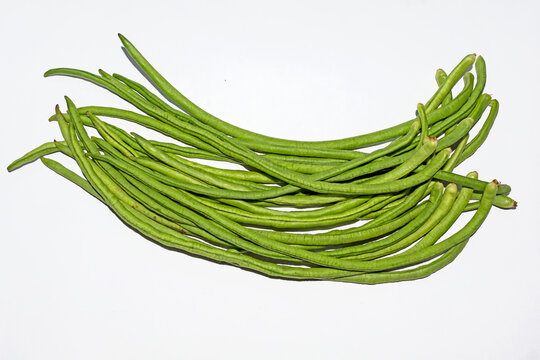 Borboti Images – Browse 56 Stock Photos, Vectors, and Video | Adobe Stock