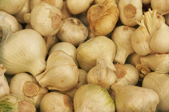 Alhos Images – Browse 54 Stock Photos, Vectors, and Video | Adobe Stock