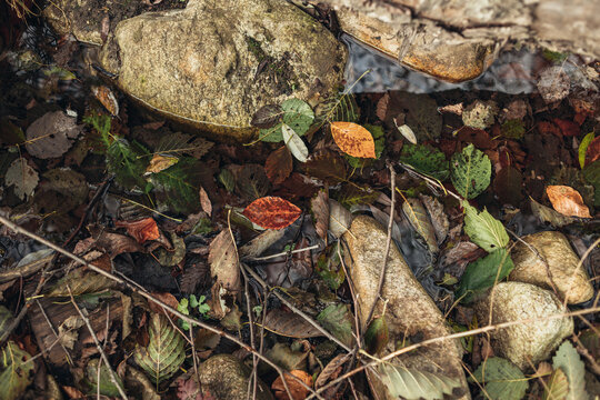 Zakan Bilder – Durchsuchen 135 Archivfotos, Vektorgrafiken und Videos ...