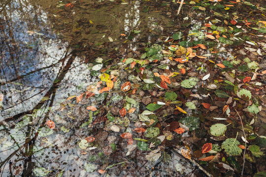 Zakan Bilder – Durchsuchen 135 Archivfotos, Vektorgrafiken und Videos ...