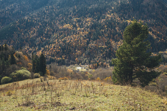 รูปภาพZakan – เลือกดูภาพถ่ายสต็อก เวกเตอร์ และวิดีโอ135 | Adobe Stock