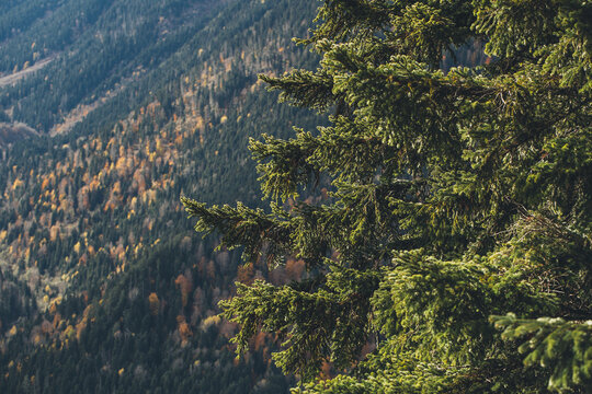 รูปภาพZakan – เลือกดูภาพถ่ายสต็อก เวกเตอร์ และวิดีโอ135 | Adobe Stock