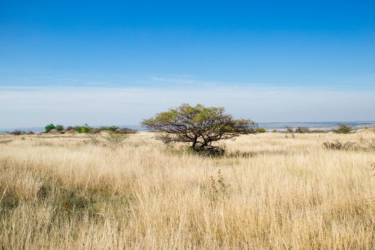 Zakan Bilder – Durchsuchen 135 Archivfotos, Vektorgrafiken und Videos ...