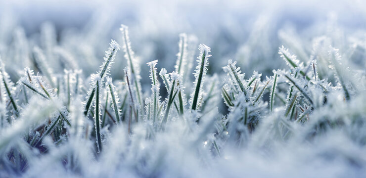Hoarfrost Images – Browse 2,777,370 Stock Photos, Vectors, and Video ...