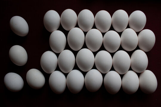 รูปภาพClaret – เลือกดูภาพถ่ายสต็อก เวกเตอร์ และวิดีโอ16,795 | Adobe Stock