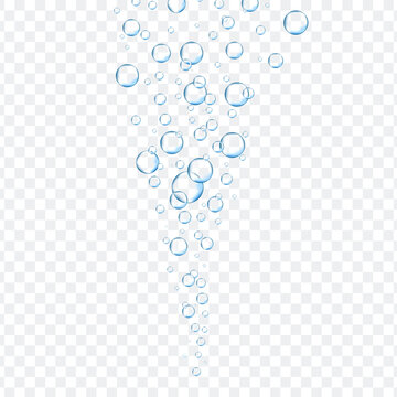 Water Bubbles Vector