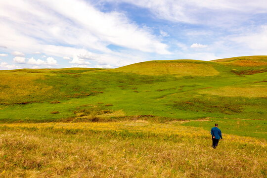 รูปภาพForest-Steppe – เลือกดูภาพถ่ายสต็อก เวกเตอร์ และวิดีโอ1,474 ...