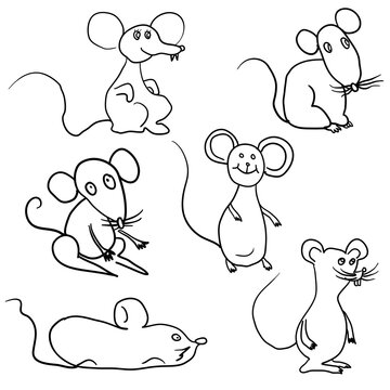 Lab Mouse Drawing