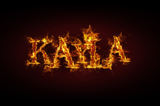 รูปภาพKayla – เลือกดูภาพถ่ายสต็อก เวกเตอร์ และวิดีโอ73 | Adobe Stock