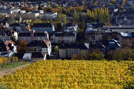 Oberau Bilder – Durchsuchen 481 Archivfotos, Vektorgrafiken und Videos ...