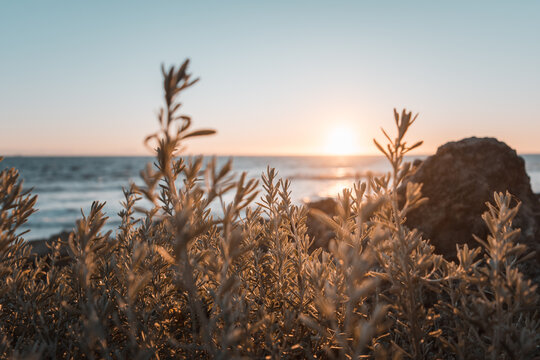Frederic photos, images, assets | Adobe Stock