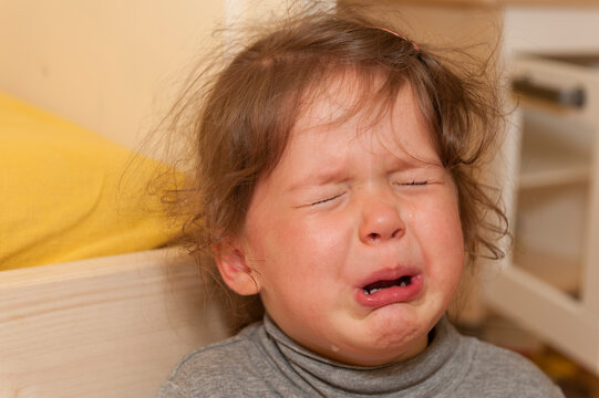 Heulen bilder – Bläddra bland 1,636 stockfoton, vektorer och videor ...