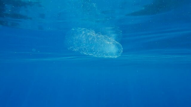 Zooids Images – Browse 465 Stock Photos, Vectors, and Video | Adobe Stock