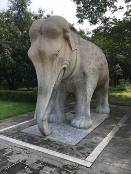 Pachiderma Bilder – Durchsuchen 805 Archivfotos, Vektorgrafiken und ...