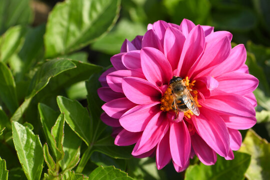 Tenax 影像 – 瀏覽 922 個素材庫相片、向量圖和影片 | Adobe Stock