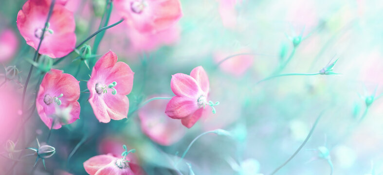 "Spring Nature" Images – Browse 11 Stock Photos, Vectors, and Video ...
