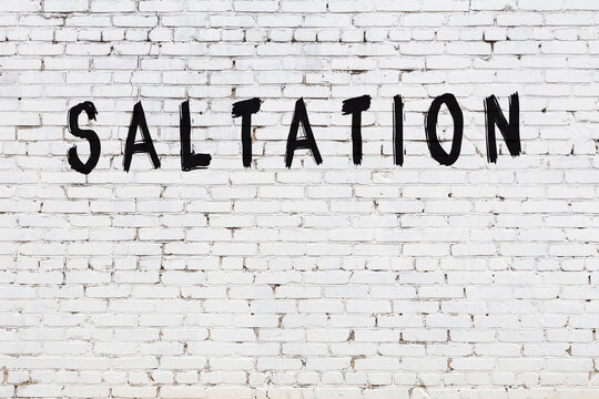 รูปภาพSaltation – เลือกดูภาพถ่ายสต็อก เวกเตอร์ และวิดีโอ4,702 | Adobe Stock