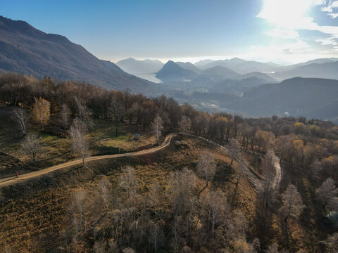 "Colla-Bilder: Stock-Fotos & -Videos. | Adobe Stock