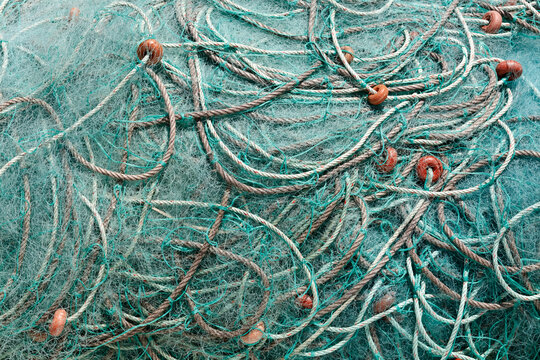 Embroilment bilder – Bläddra bland 264 stockfoton, vektorer och videor ...