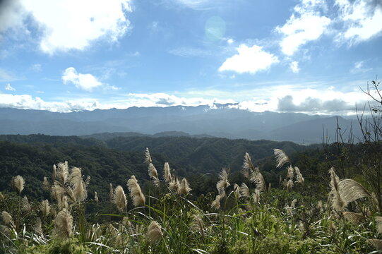 Qinglin Images – Browse 4 Stock Photos, Vectors, and Video | Adobe Stock