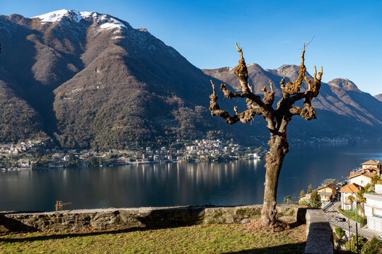 Lario Images – Parcourir 6,265 le catalogue de photos, vecteurs et ...
