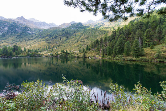 Arve bilder – Bläddra bland 2,413 stockfoton, vektorer och videor ...