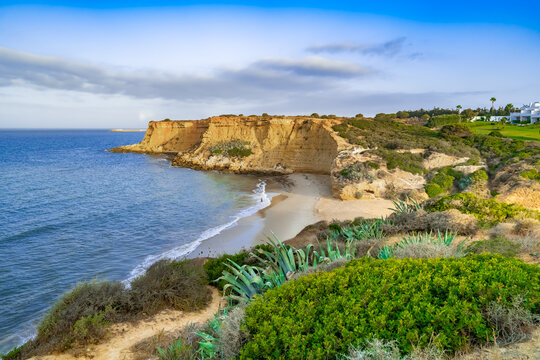 Imágenes de Calita: descubre bancos de fotos, ilustraciones, vectores y ...