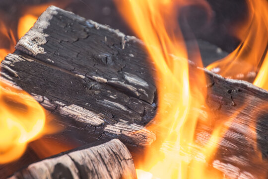 Brandwunde bilder – Bläddra bland 8,281 stockfoton, vektorer och videor ...