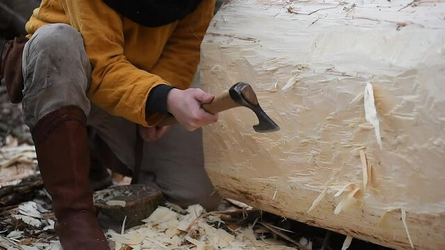 รูปภาพDebarking – เลือกดูภาพถ่ายสต็อก เวกเตอร์ และวิดีโอ6,403 | Adobe Stock