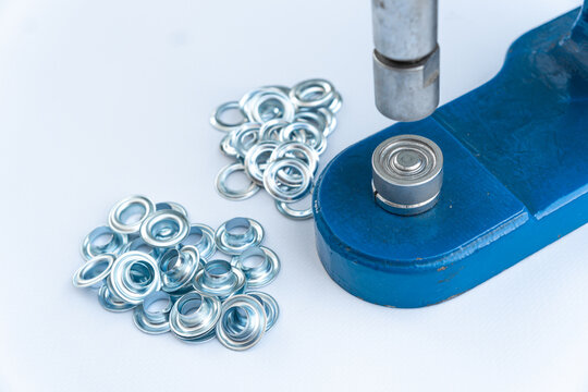 Lederzecke-Bilder: Stock-Fotos & -Videos. | Adobe Stock