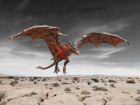 Free Dragon Images – Browse 2,376 Free Stock Photos, Vectors, and Video ...