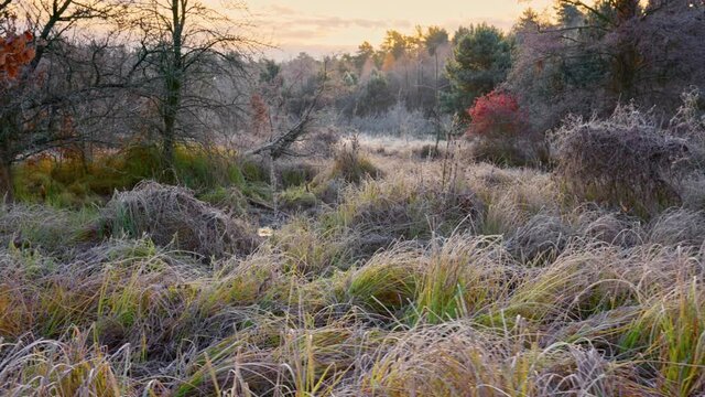 Inium Images – Browse 44 Stock Photos, Vectors, and Video | Adobe Stock