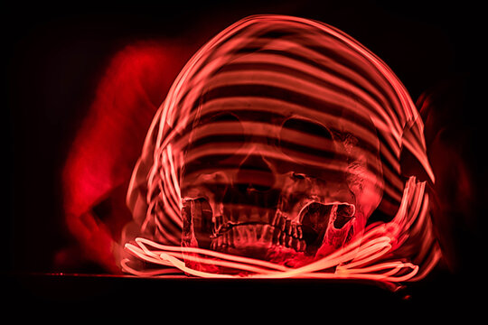 Skully Images – Browse 79 Stock Photos, Vectors, and Video | Adobe Stock